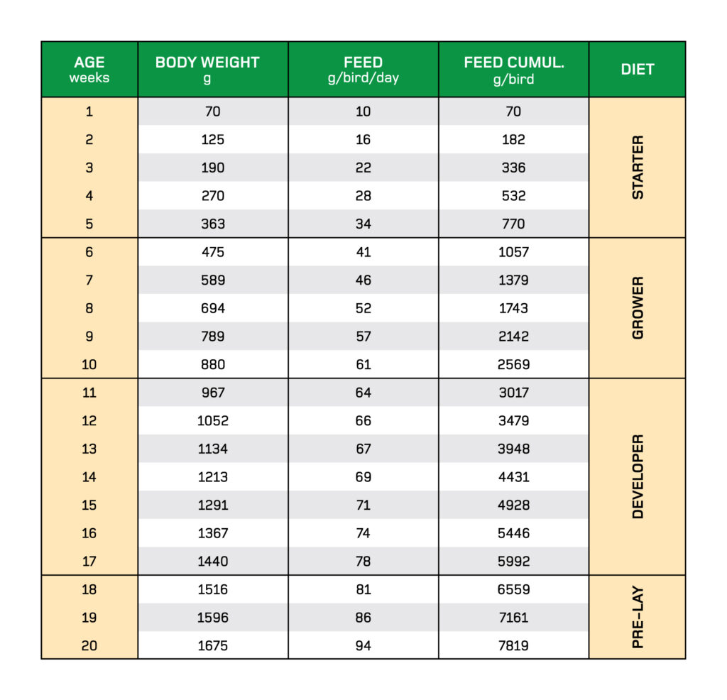 Beyond Brooding (14+ Days): Get The Best Out Of Your Layers – Gale's ...
